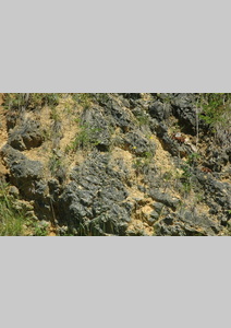 Le Massif du Jura / Géologie de la France / Géologie / Vins VignesVignerons